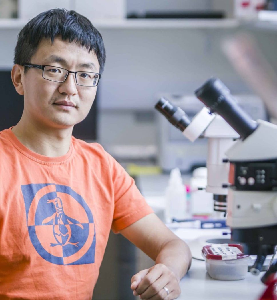 Researcher profiles - Retina UK