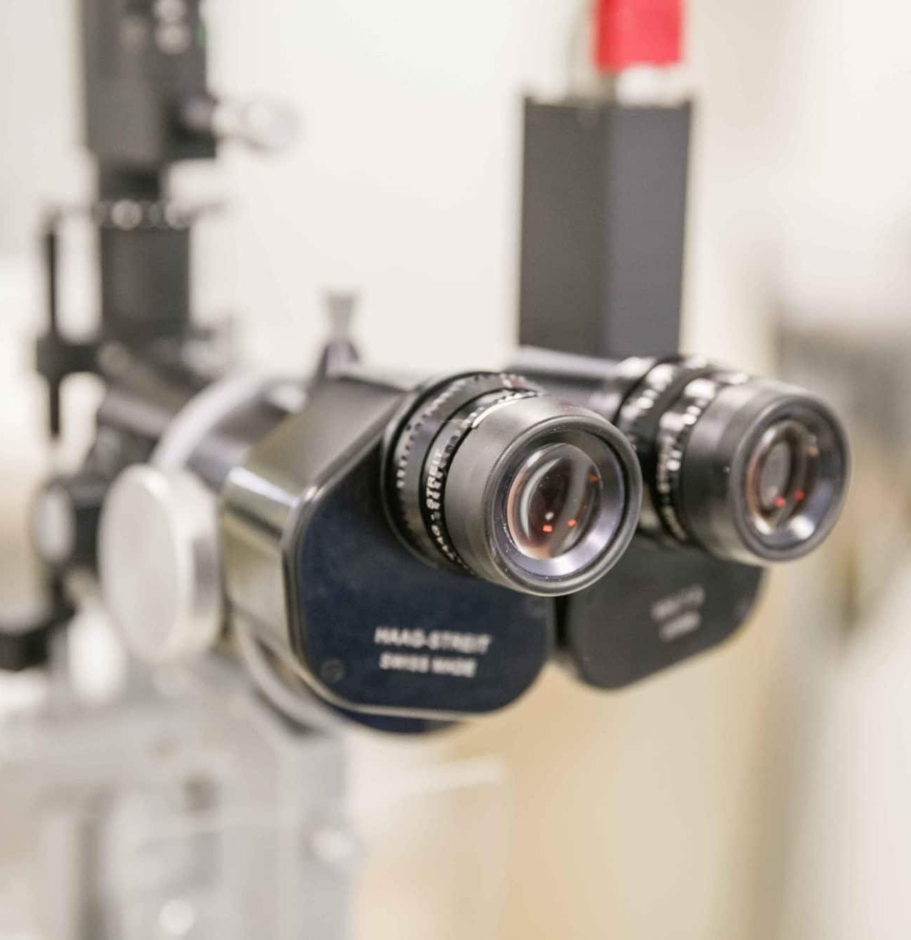 Retina UK - Inherited sight loss, a charity raising money to fund ...