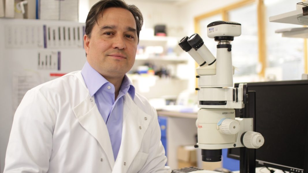 Stem cells - Retina UK